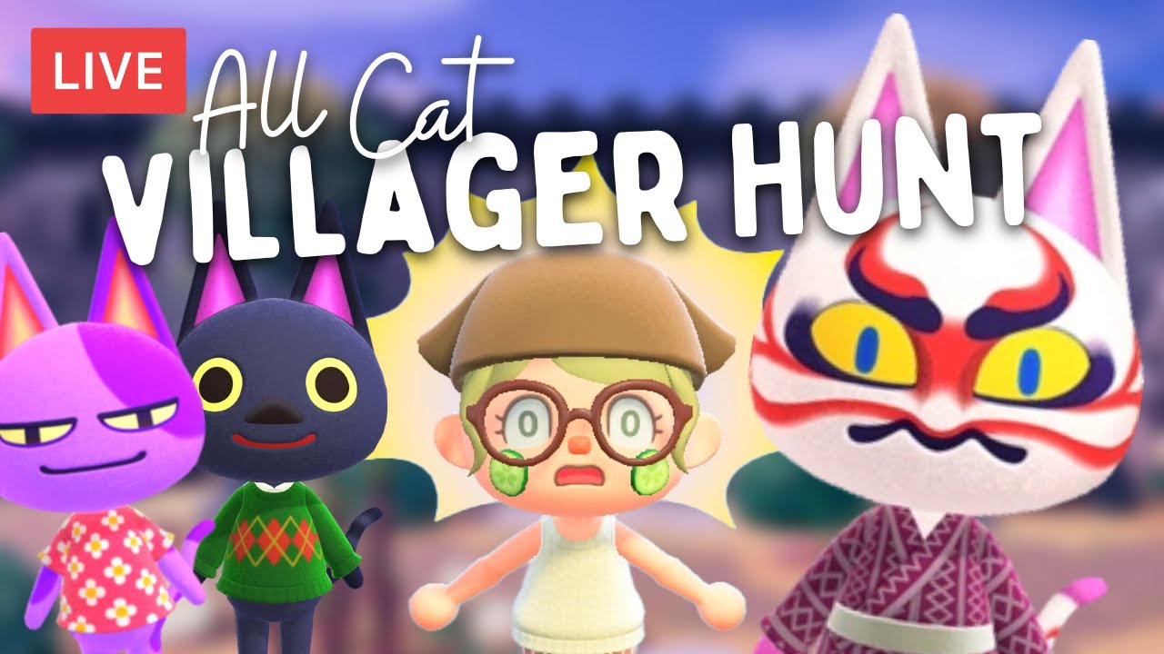 🔴 Maybe we'll find KABUKI this time?! 🙏 ALL CATS VILLAGER HUNT (Round 8 ...