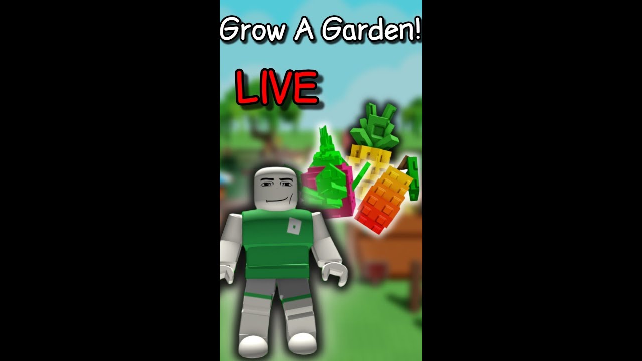 Roblox LIVE! please sub - YouTube