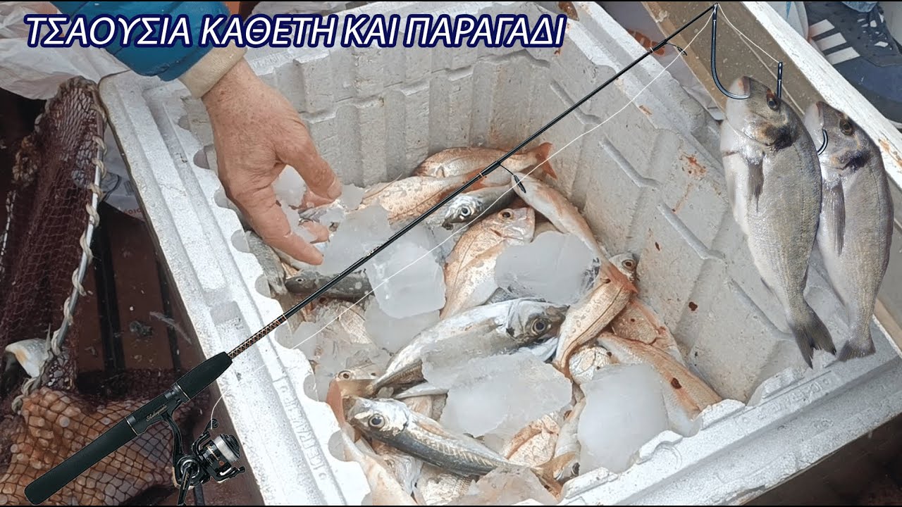ΤΣΑΟΥΣΙΑ ΚΑΘΕΤΗ ΚΑΙ ΠΑΡΑΓΑΔΙ - YouTube