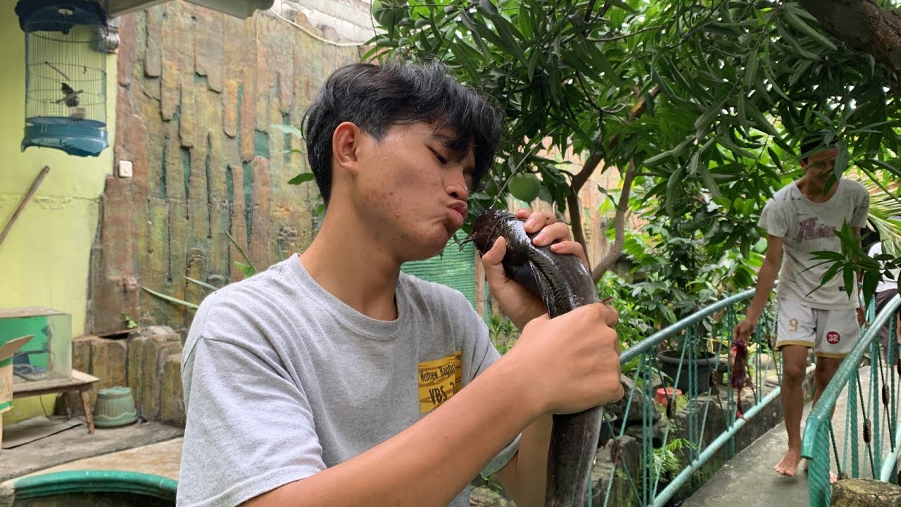 mancing mania fishing fishing - YouTube