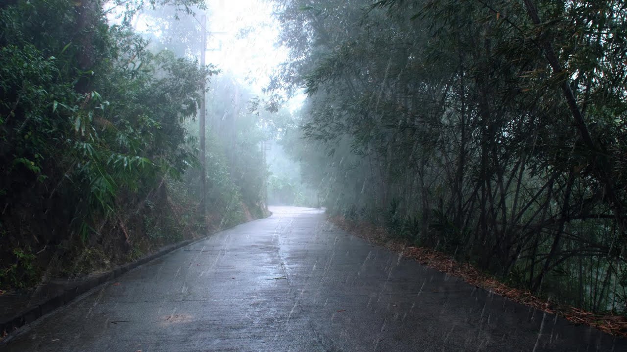 Calming Rain Sounds perfect for Sleep, Meditation, Study| Soft Rain ...
