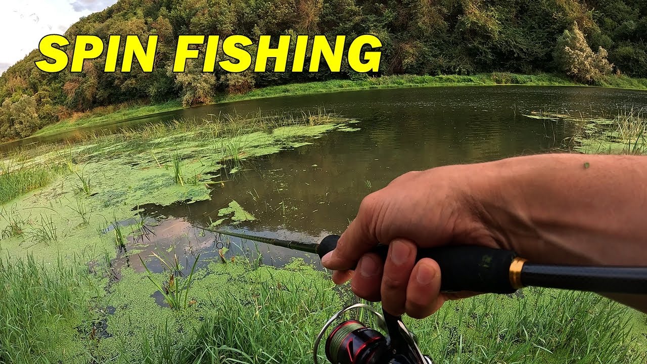 SPINNING for WILD RIVER CHUB - FISHING in BEAUTIFUL green NATURE - YouTube