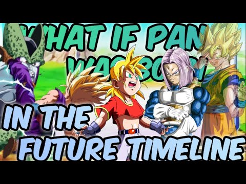 What If Pan Was Born In The Future Timeline Part 3 (Dragon Ball What If ...