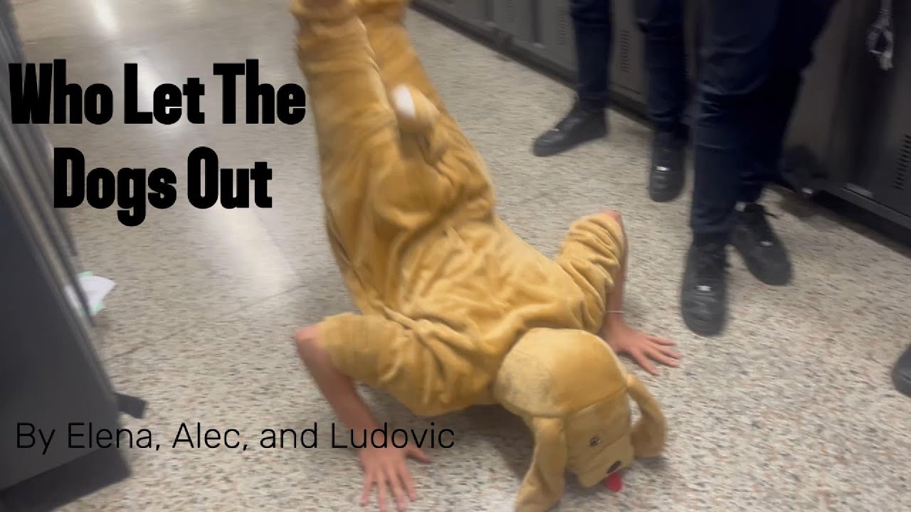 WhoLet The Dogs Out, lip sync - YouTube