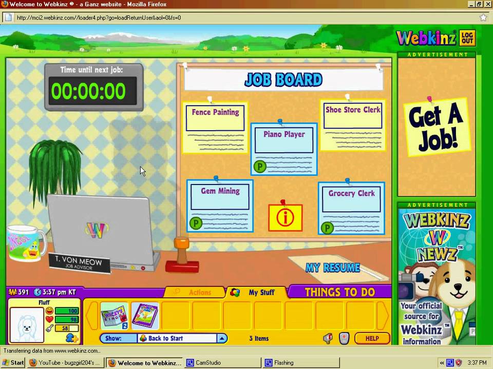 VERY WEIRD WEBKINZ GLITCH! (tabby von meow invisible) - YouTube
