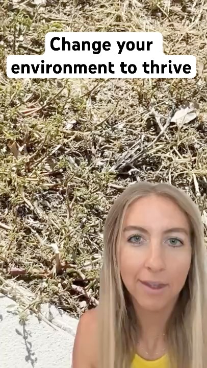 Change your environment - YouTube