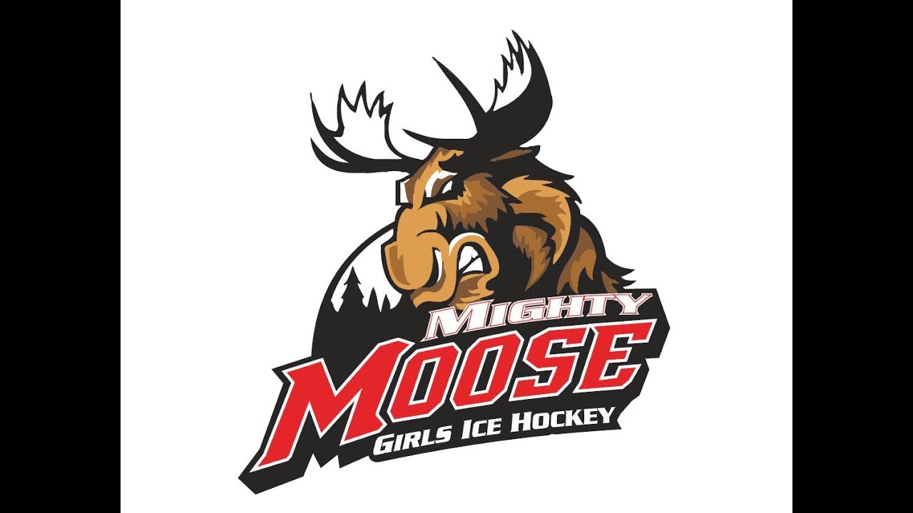 Your 2013-2014 Mighty Moose Hockey Club End-of-Year Video - YouTube