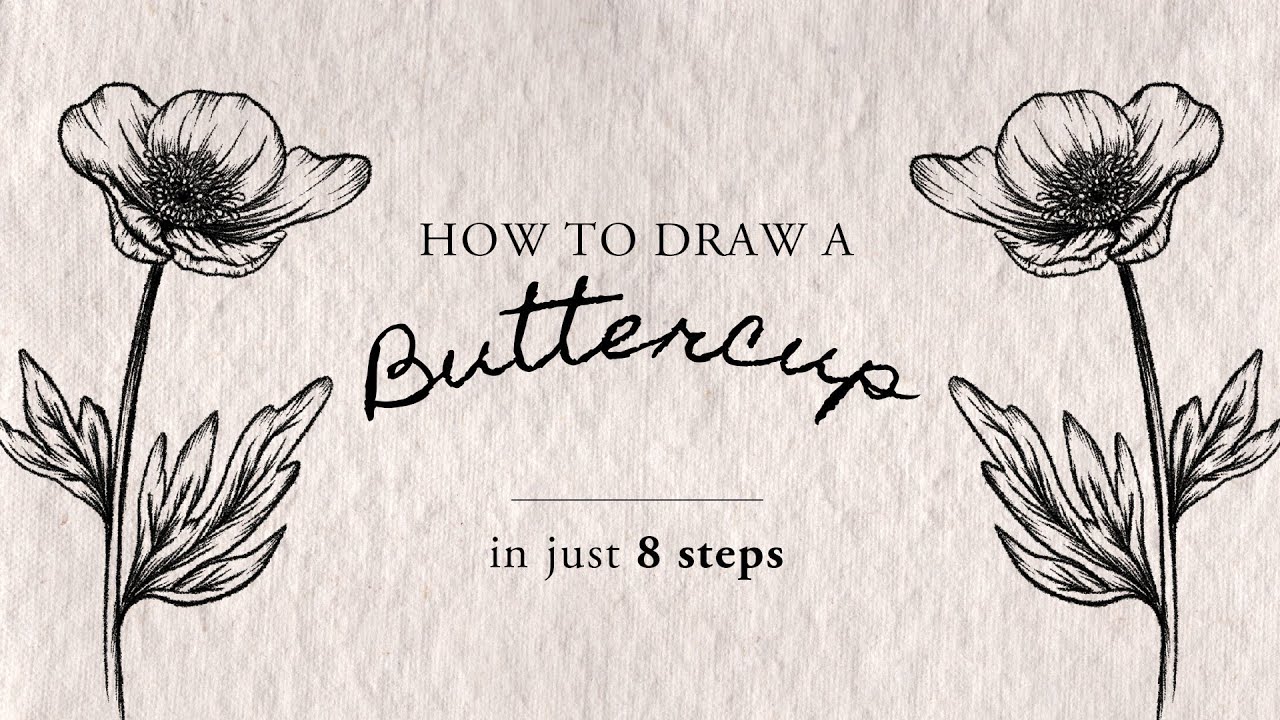 How To Draw a Buttercup | Easy To Follow Step By Step, Real Time Video ...