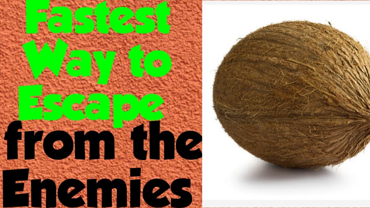 Destroy Enemy's spiritual Power and be free#coconut,#usa - YouTube