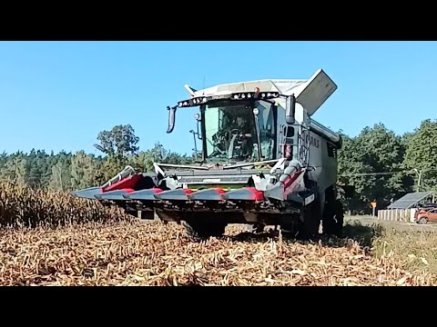 Claas Trion 640 - Kukurydza na ziarno 2023🌽🌽🌽 - YouTube