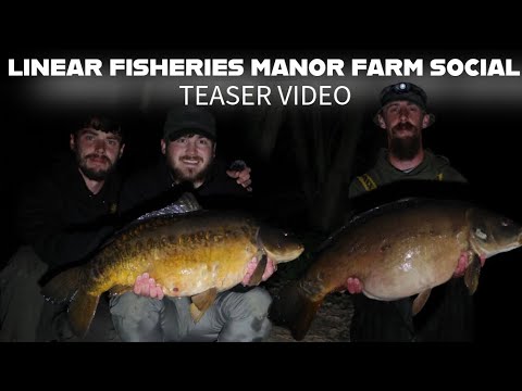 LINEAR FISHERIES - MANOR FARM SOCIAL ( Teaser) - YouTube