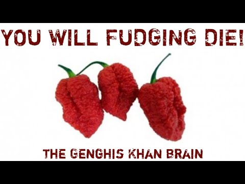 The Genghis Khan Brain Pepper Challenge! - YouTube