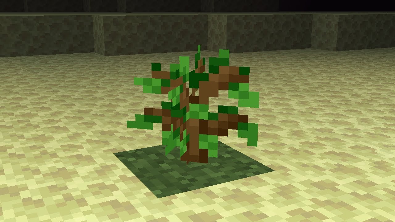 can a tree grow on the end? - YouTube