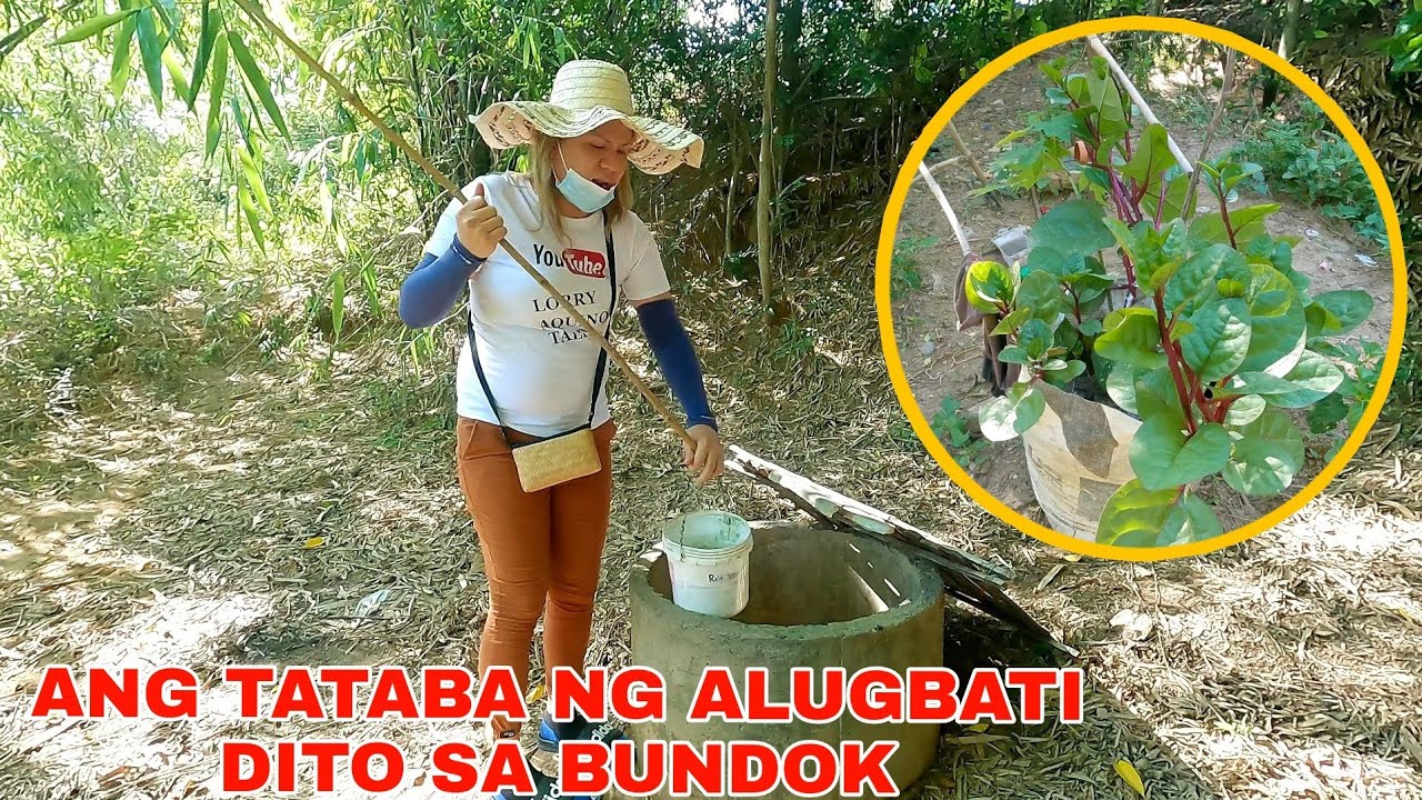 FRESH FROM THE FARM 😀ANG MAHIWAGANG ALUGBATI NI NANAY. - YouTube