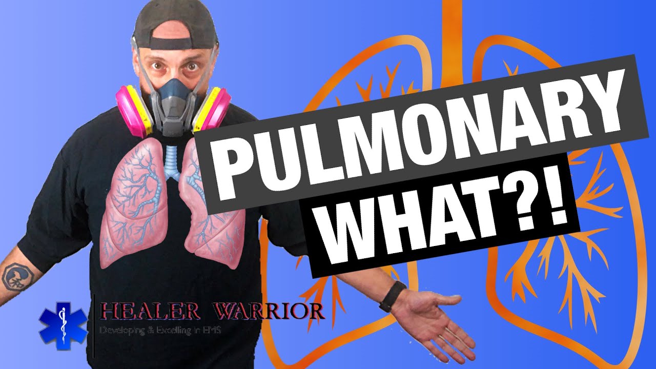 Top Pulmonary Terms for EMT Students - YouTube