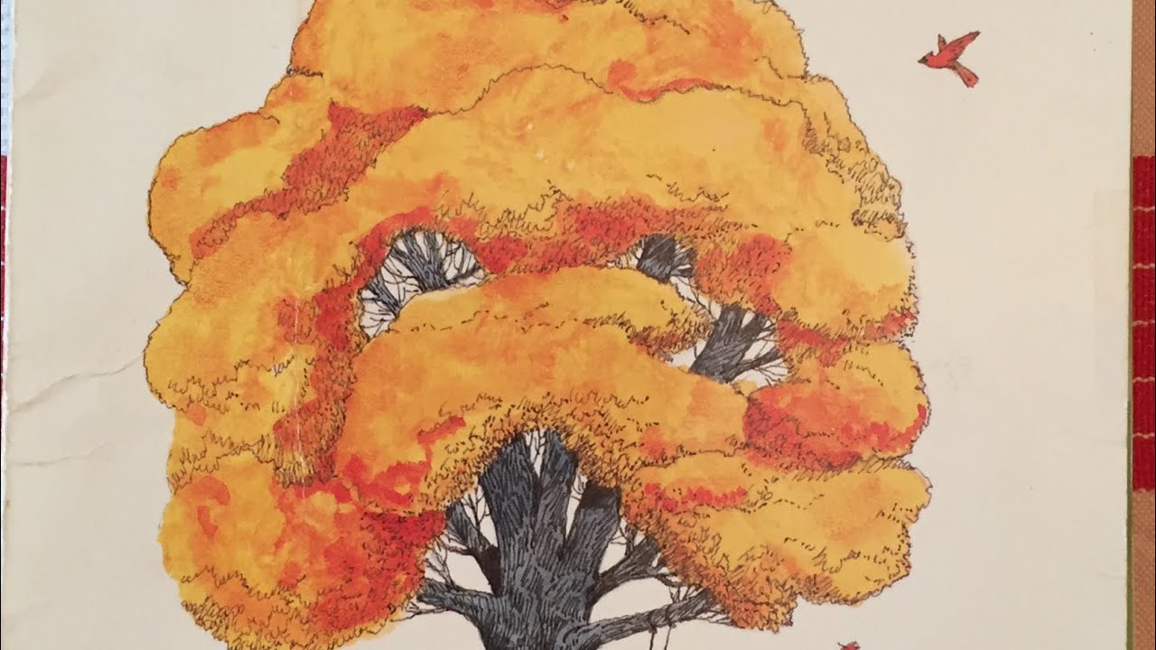Look at a Tree written by Eileen Curran and illustrated by June ...