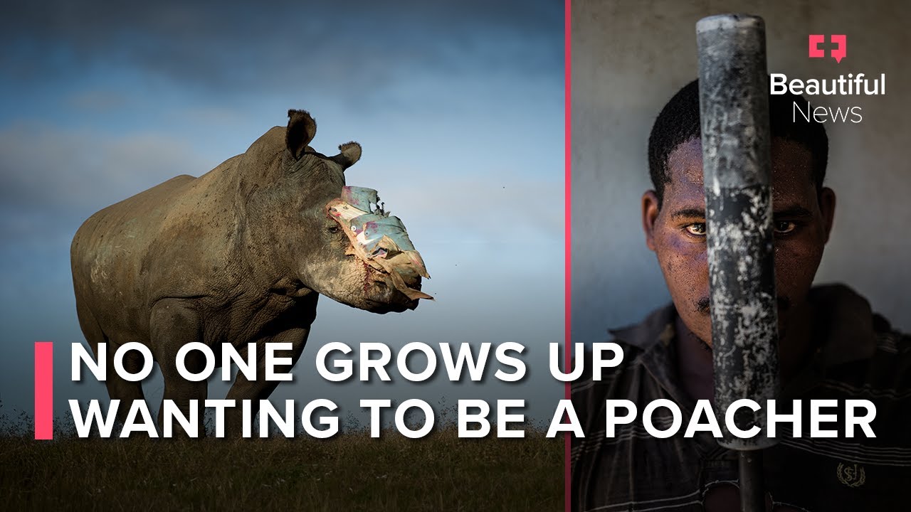 Revealing The Truth About Poaching Syndicates To Save Africa’s Wildlife ...