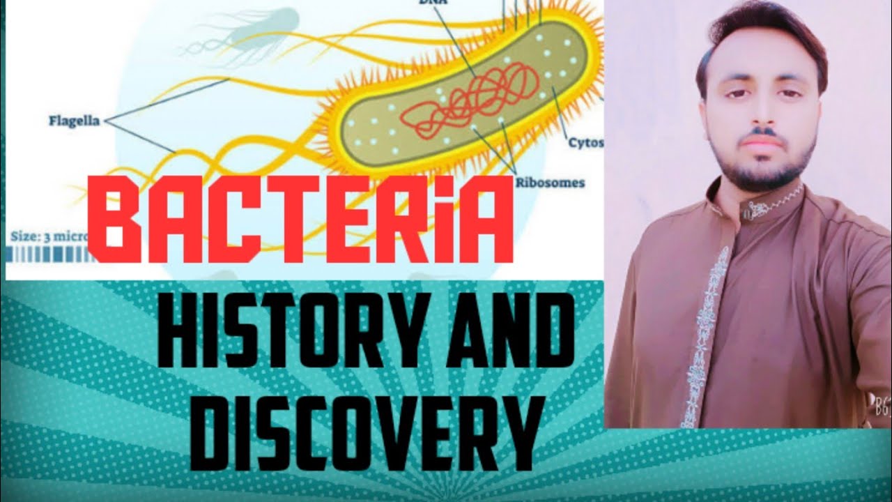 kingdom prokaryotae| discovery and history of bacteria| chap no.6 ...