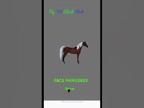 Wild Horse Islands Custom Horse Creator Concept - YouTube
