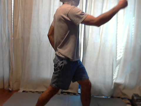 Triangle Stance and LVL 1 White Crane Strikes - YouTube