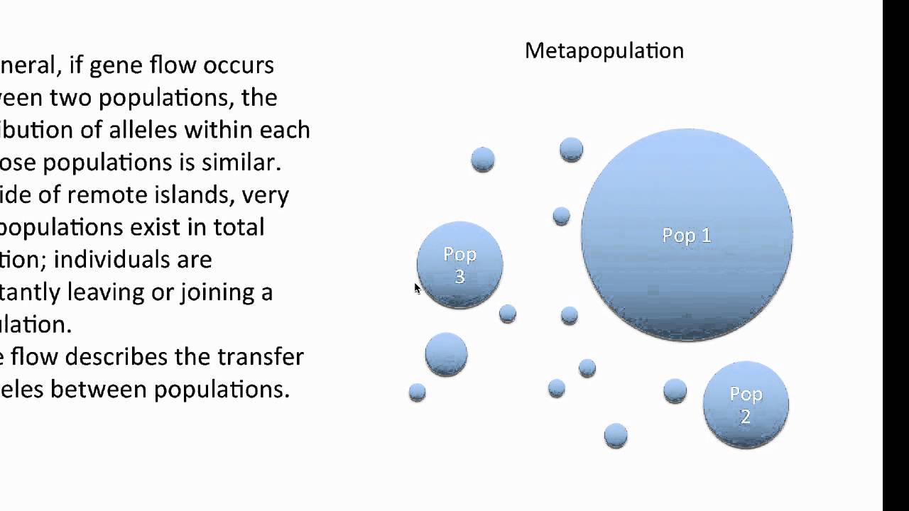 Mechanisms of Microevolution - YouTube