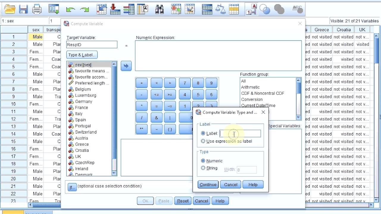 S01E04-1-4 SPSS Basics - Case numbering as variable (Respondent ID ...
