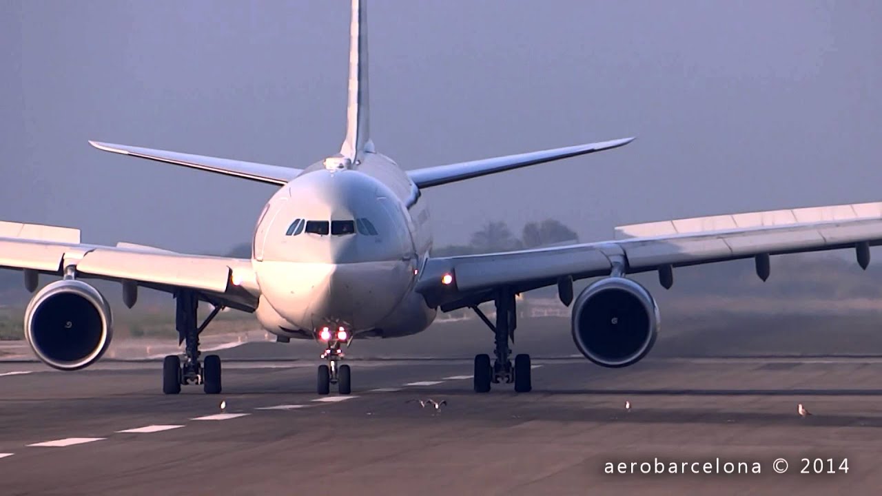 [FULL HD] CAUTION!! SEAGULS ON RUNWAY!! Qatar A332 landing Barcelona-El ...