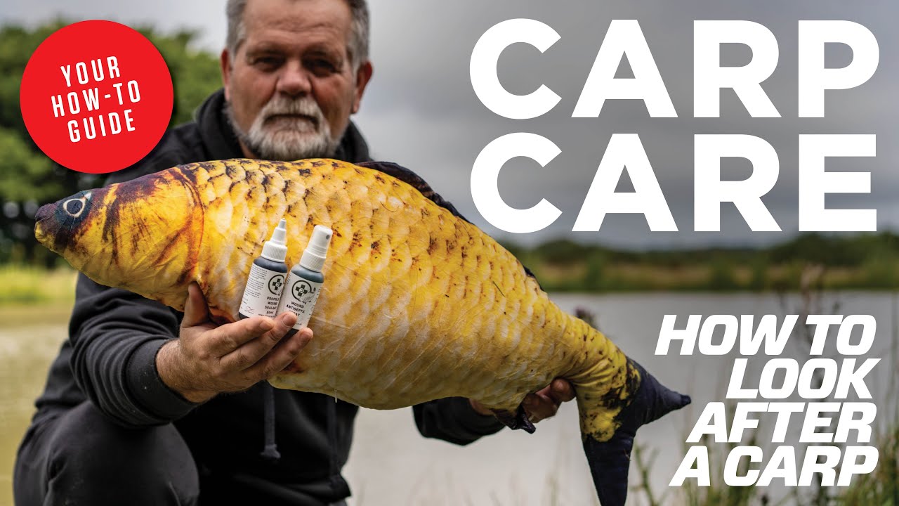 Mastering Carp Care With The Pallatrax Carp Care Kit | Essential Tips ...