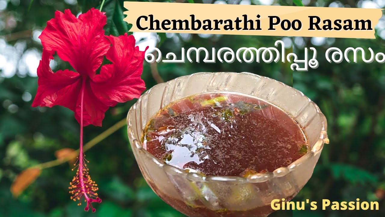 🌺Hibiscus Flower Rasam | chembarathi poo rasam | Chembarathi Rasam ...