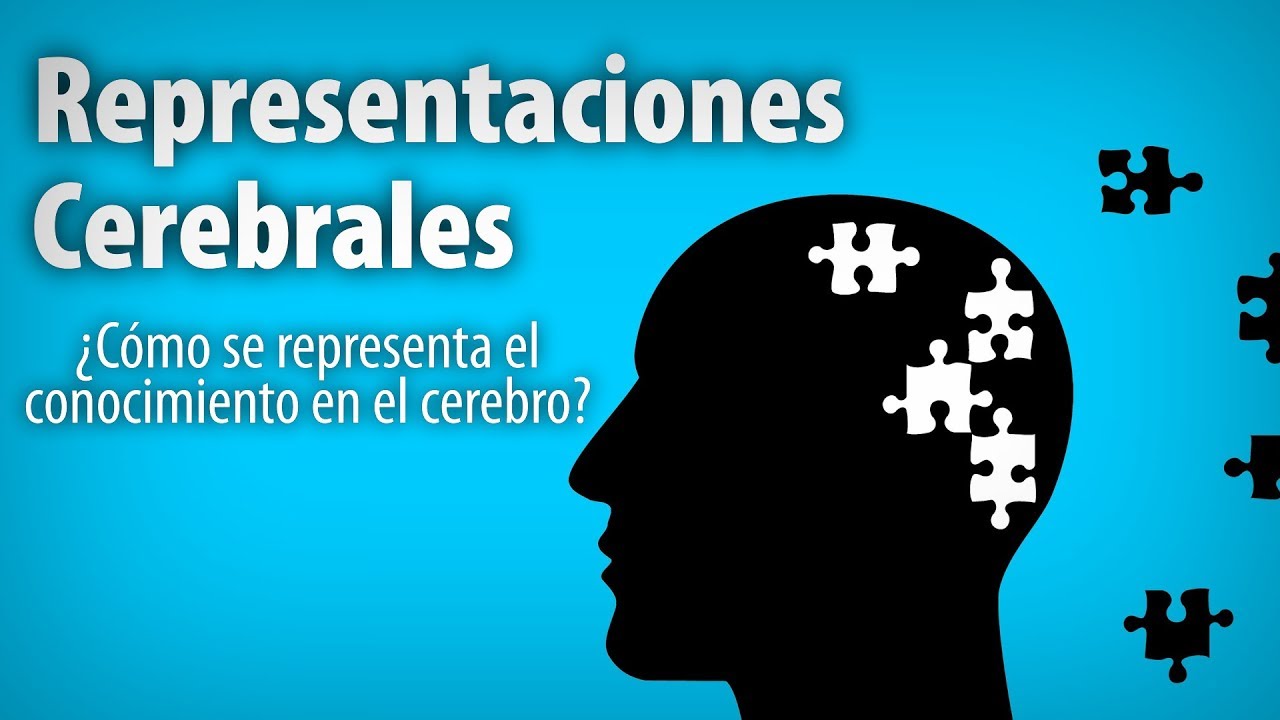 ️ Representación - YouTube