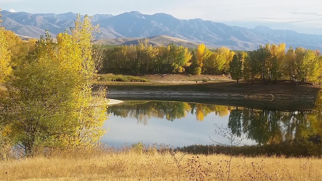 Red Poppy Ranch Live Stream - YouTube