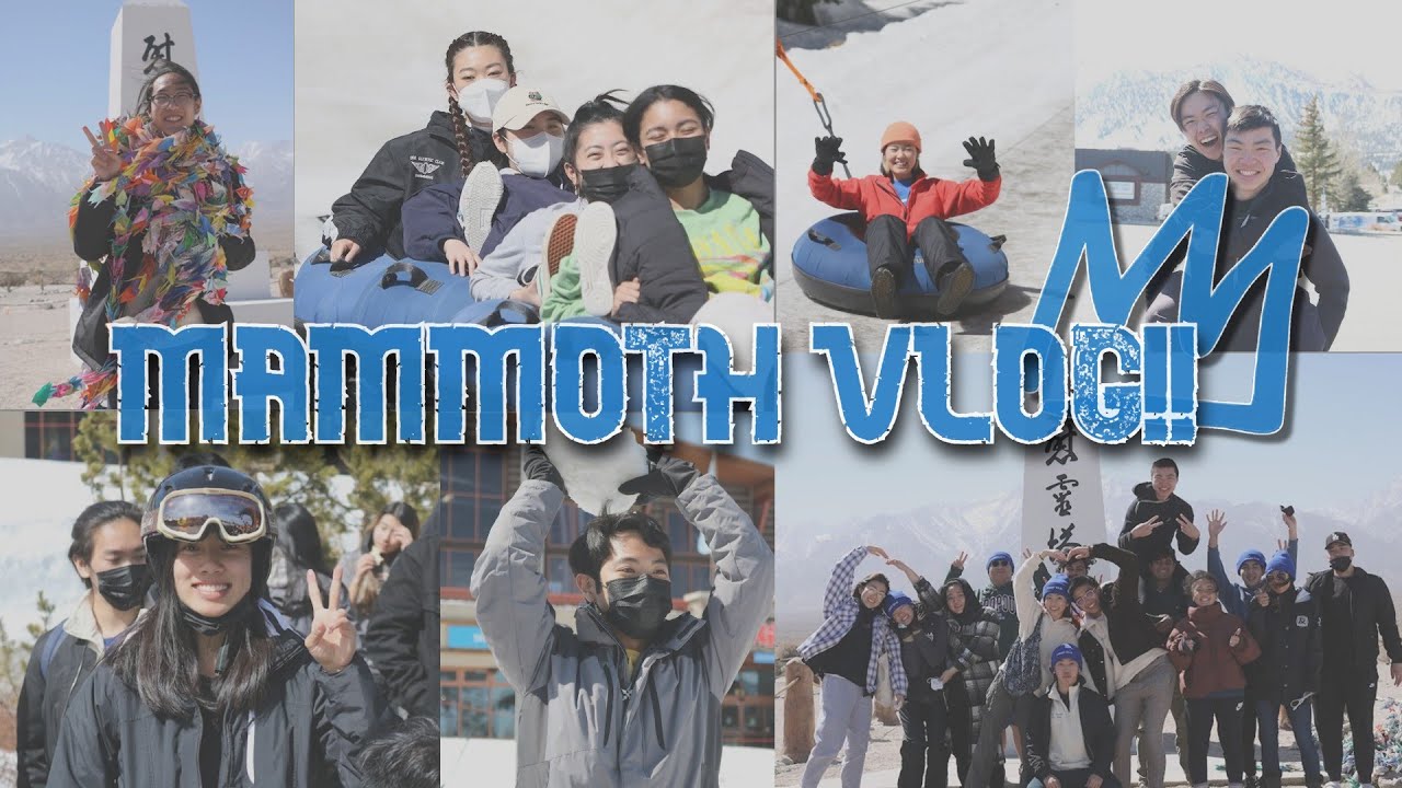 Mammoth Vlog: Tomo Edition!! - YouTube
