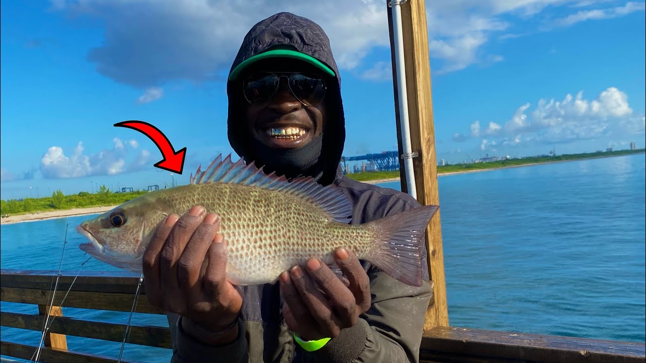 How to Catch KEEPER Mangrove Snapper - YouTube