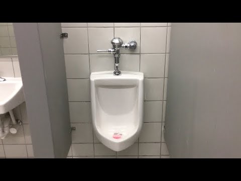 557: Michaels Men’s Restroom - YouTube