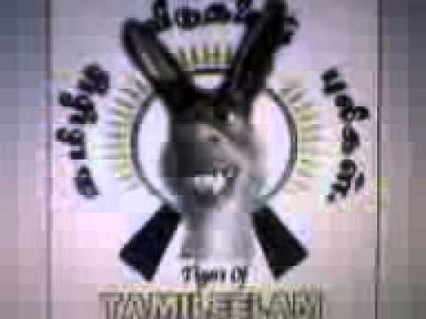 Liberation Donkey of Tamil Eelam LOGO  - YouTube.mp4