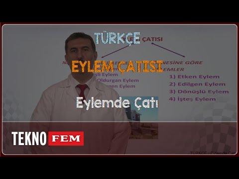 YGS-LYS TÜRKÇE - Eylemde Çatı