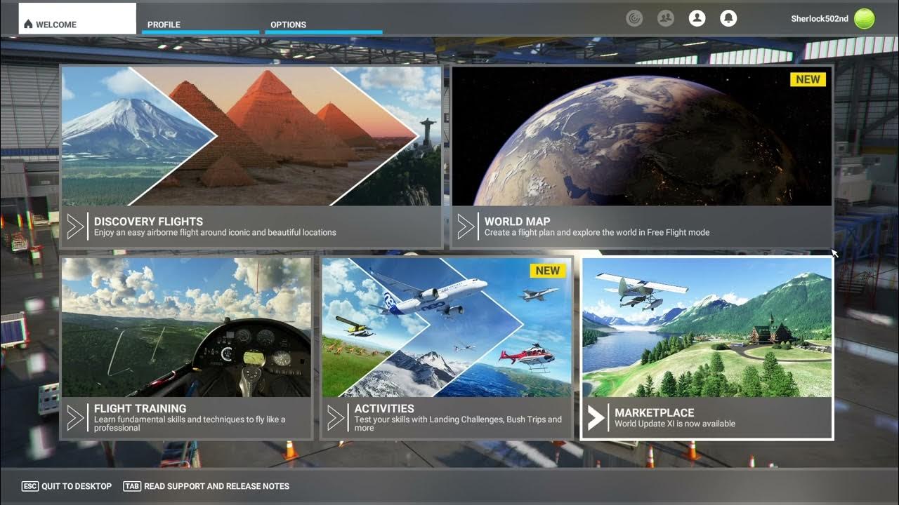 FS2020 setting default camera view to cockpit view. - YouTube