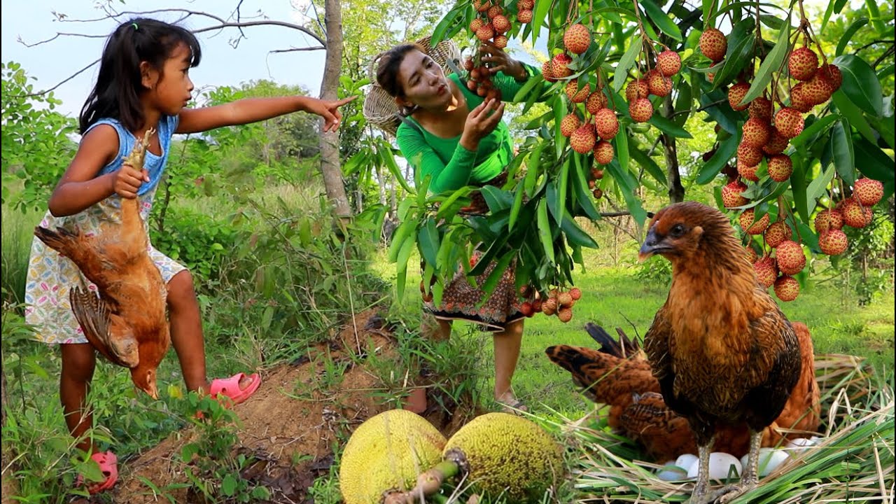 Top 2 survival videos- Mother catch and cook chicken for lunch with ...