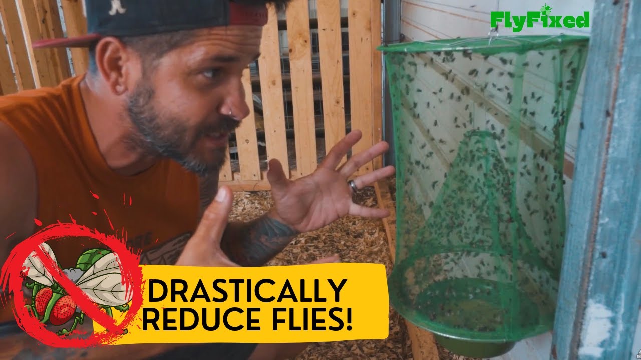 FlyFixed - #1 Reusable Net Cage Fly Trap - YouTube