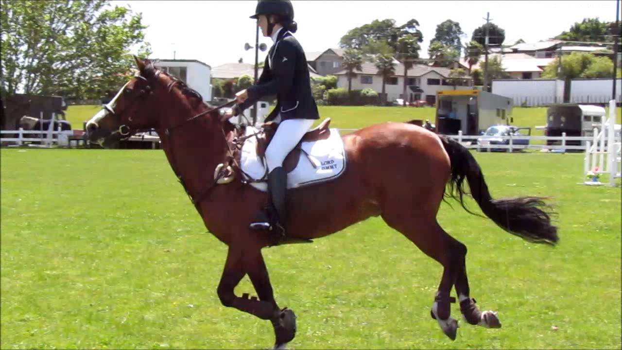 Lord Jimmy Pony 1.10m - YouTube