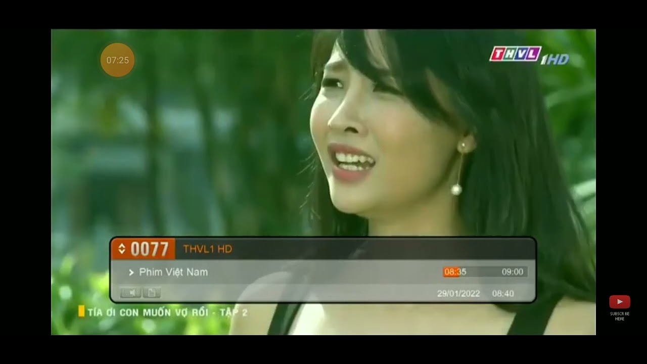 avg Vietnamese TV 29/1/2022 27 tết nhân dần - YouTube