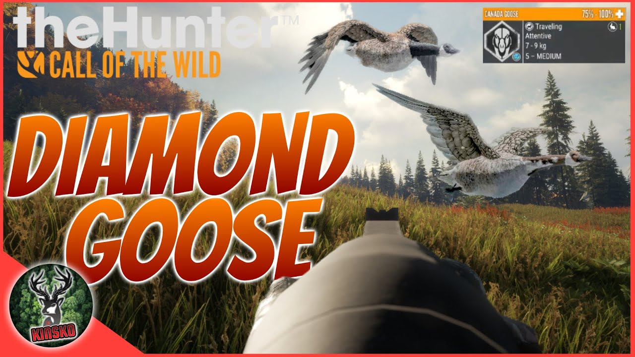 Diamond Goose On Hirschfelden During Probably The Worst Aim Hunt - YouTube