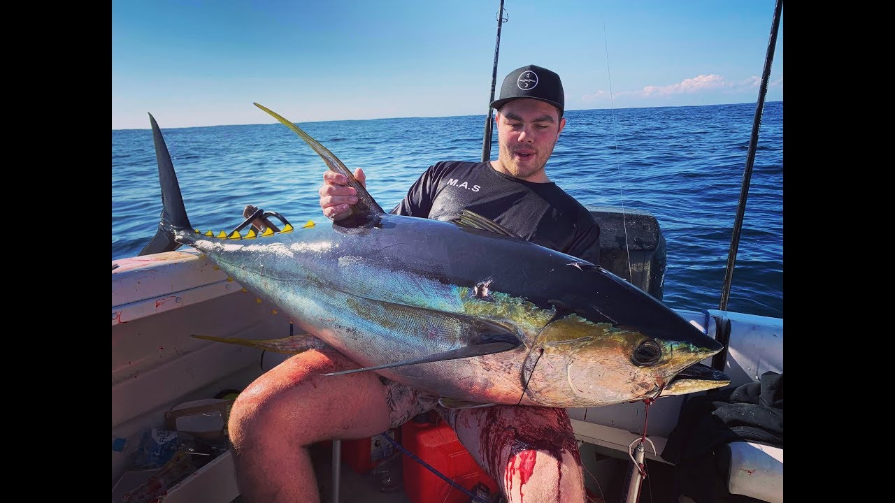 YellowFin Tuna Fishing | Catch and Cook ep 11 - YouTube