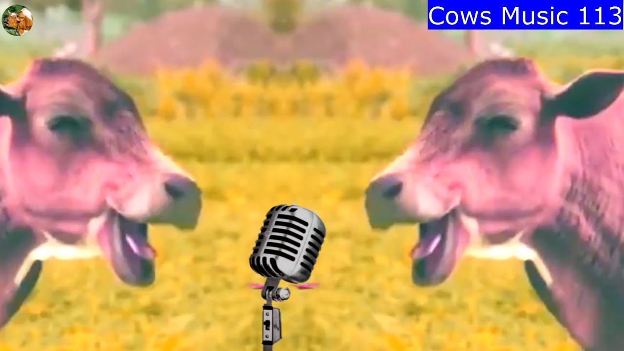 FUNNY COW DANCE 113 | COW SONG & COW VIDEOS | COW LOVELY SOUNDS | COWS ...