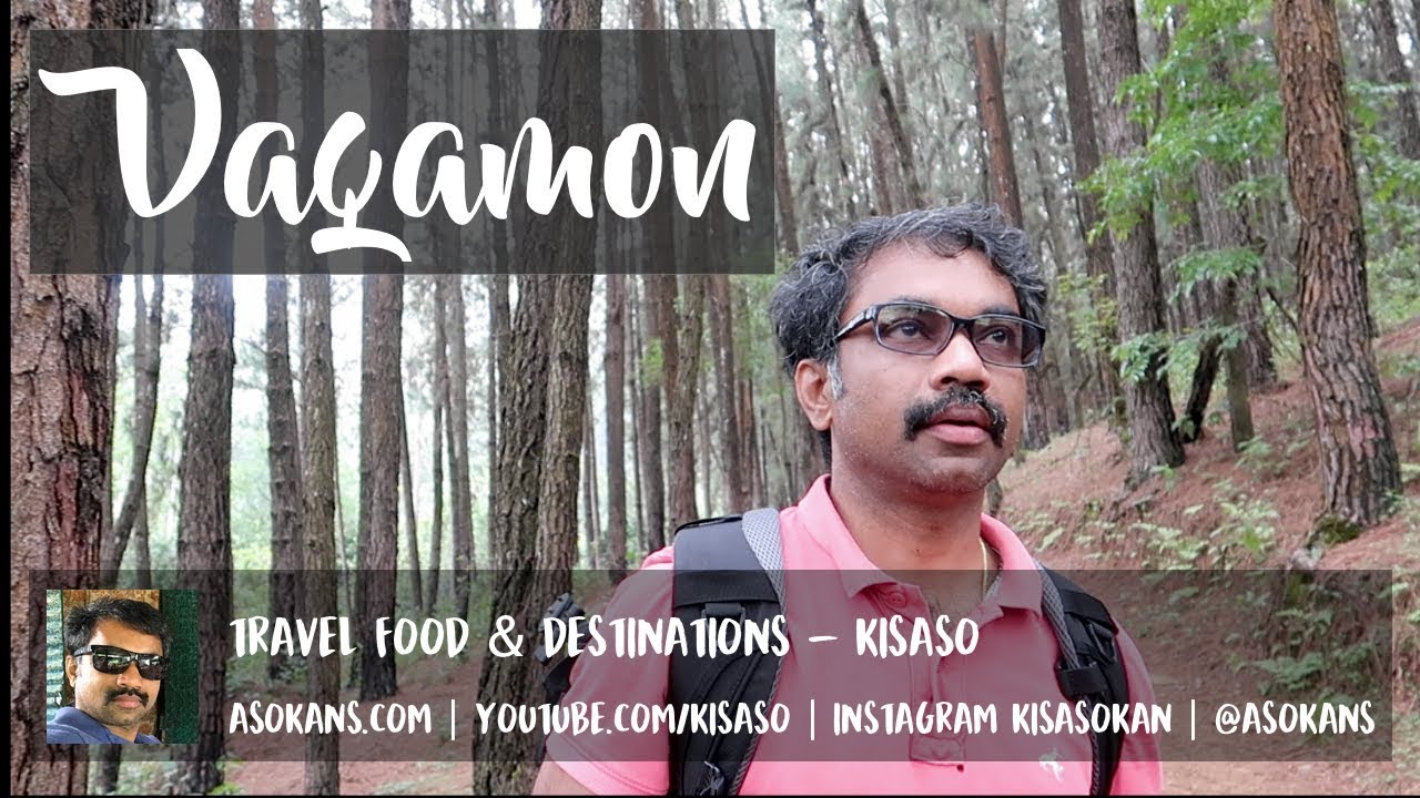 Vagamon Idukki - Pine Forest, Home stays, Mottakunnu, The Kissing ...