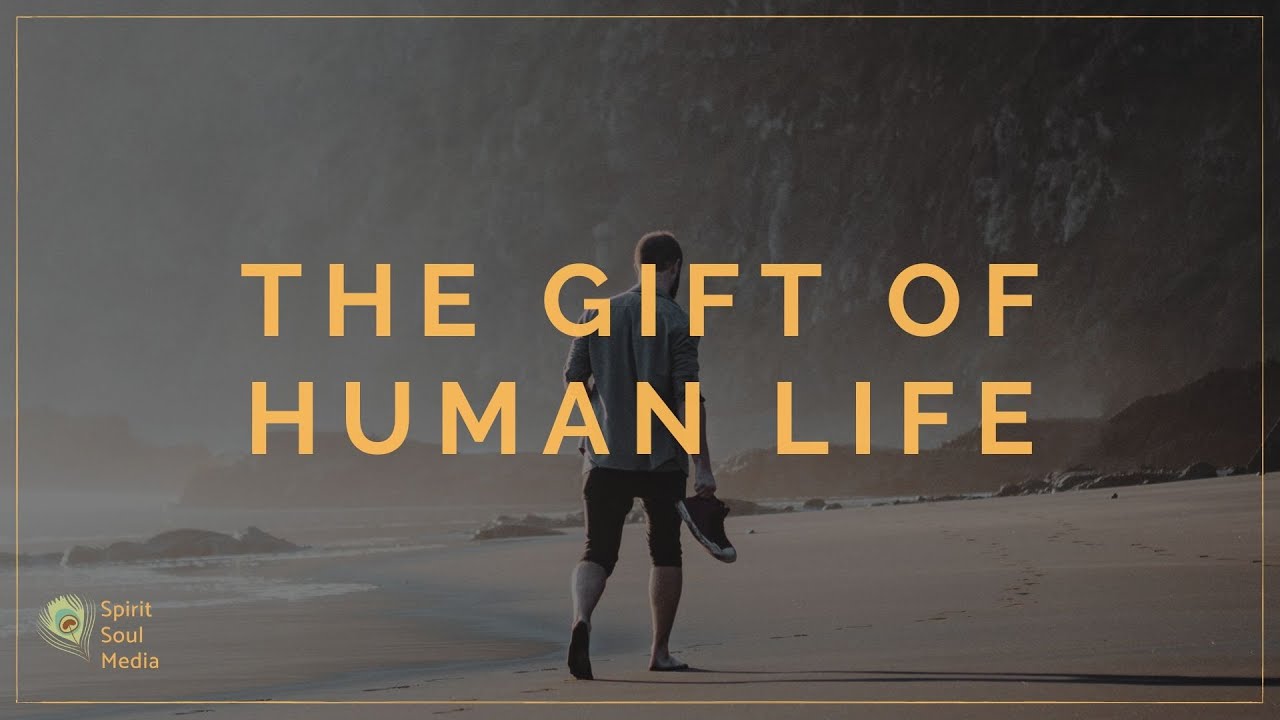 The Gift of Human Life - YouTube