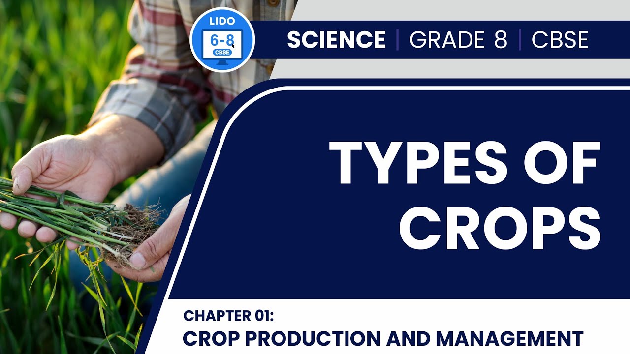 Types of Crops | Crop Production and Management | Class 8 Biology ...
