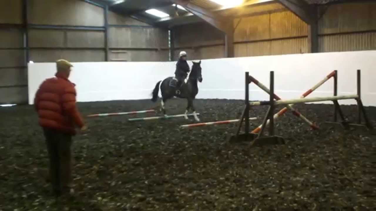 Diani Western-Kaye lesson with Robert Pickles at Snowball Farm (1 ...