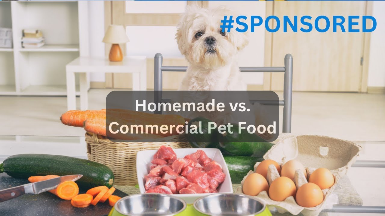 Homemade vs. Commercial Pet Food: Your 3-Minute Guide to Better Pet ...