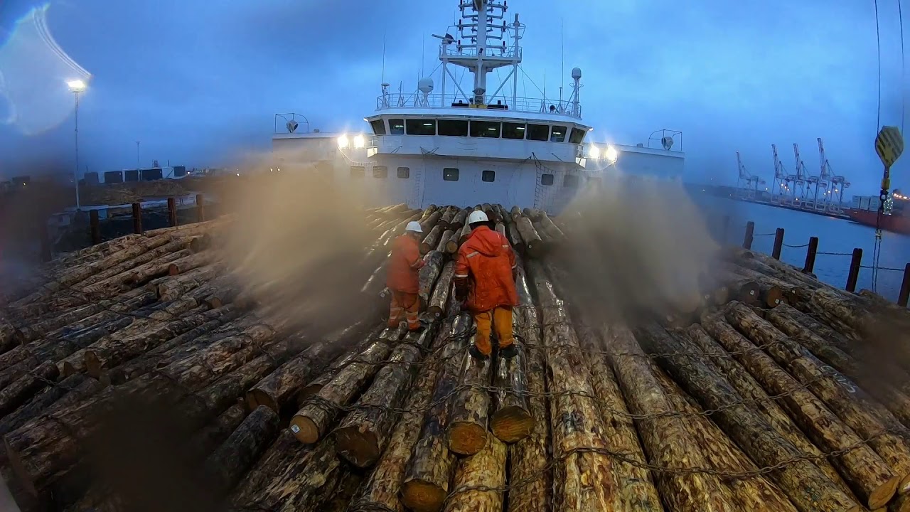 log lashing easy 🤑 - YouTube